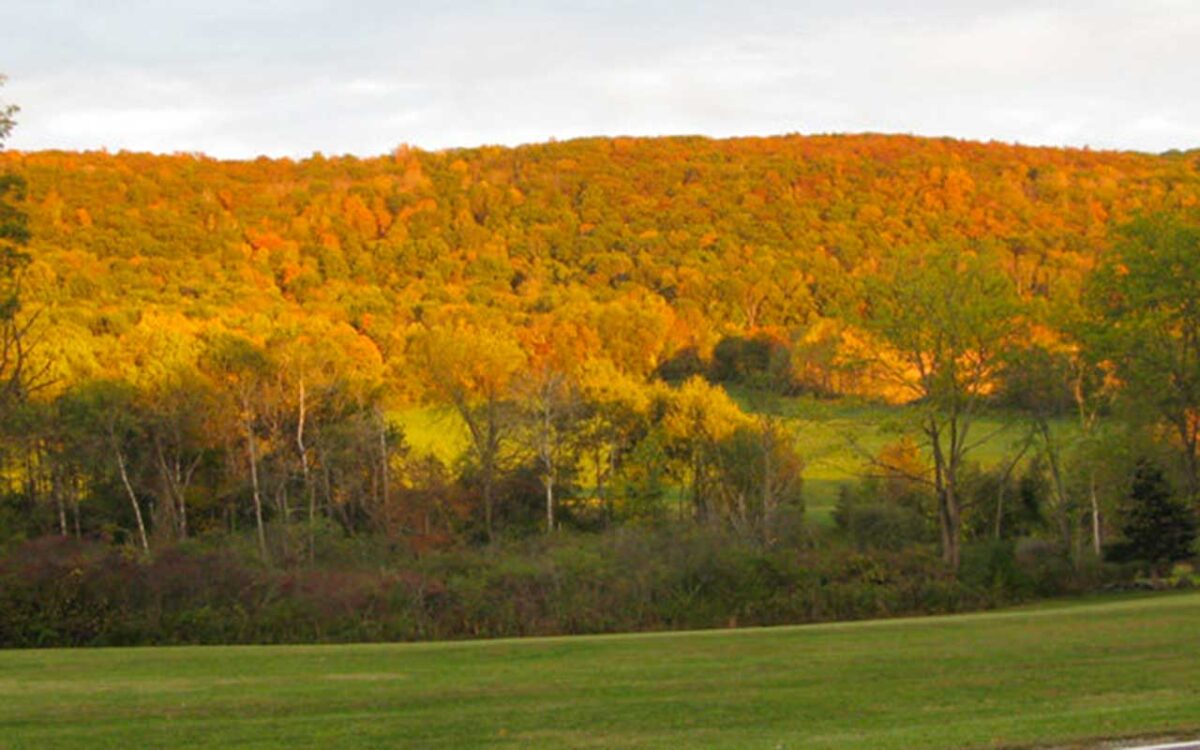 Press – Village of Millerton New York